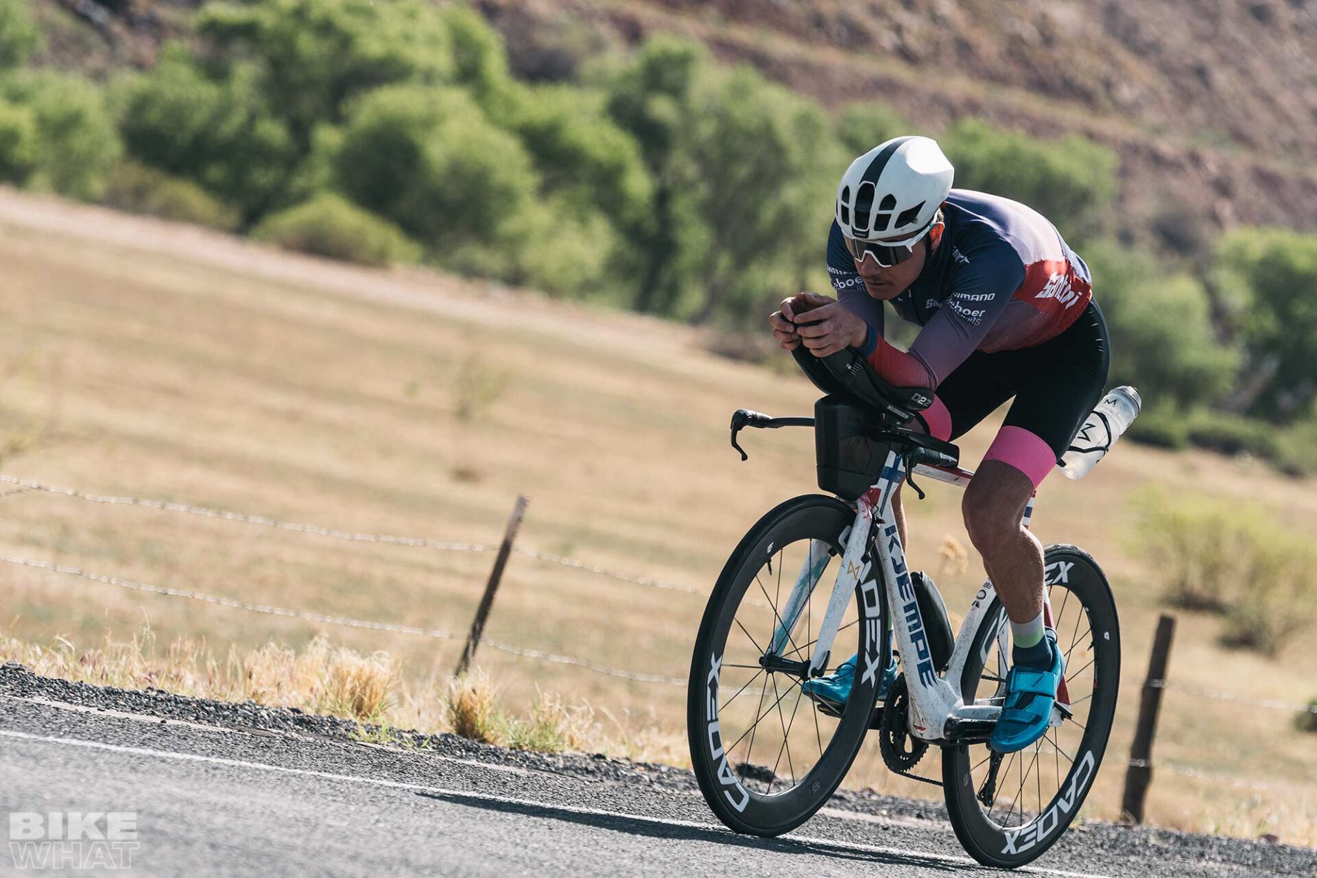 자이언트, 14번 째 라이드 라이크 킹 개최 - BikeWhat