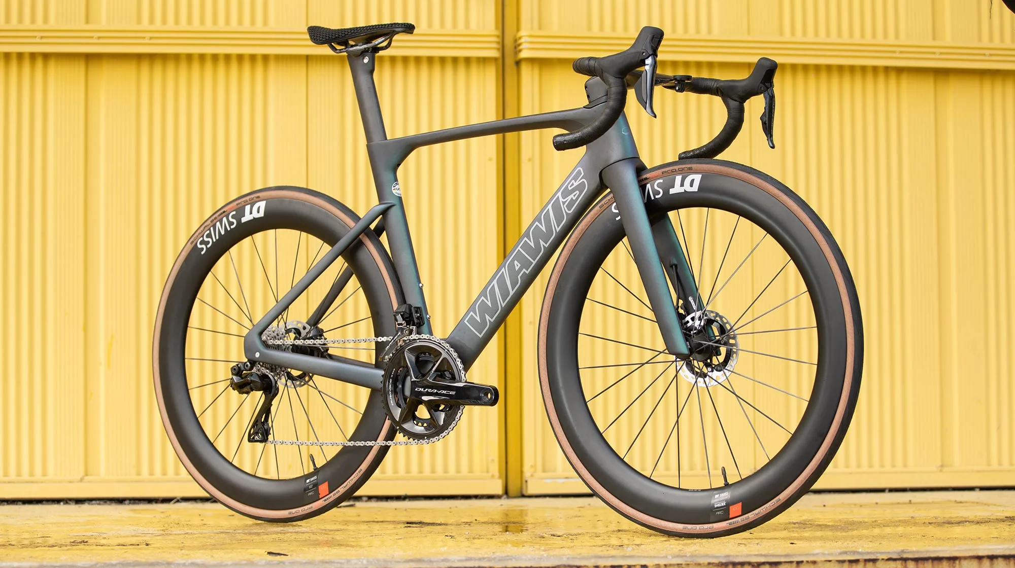 위아위스 2024 신제품 공개