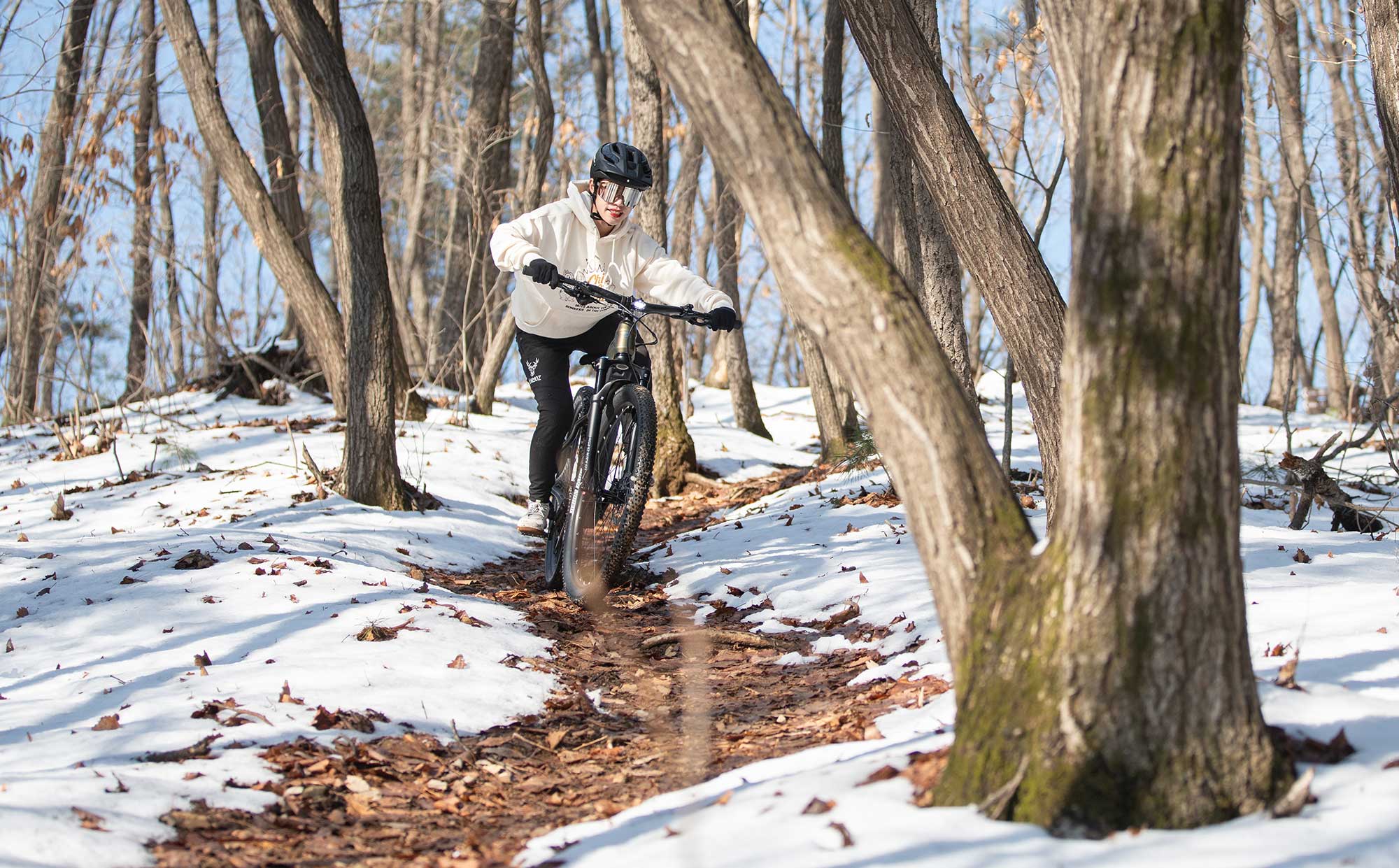 메리다 e빅나인 775