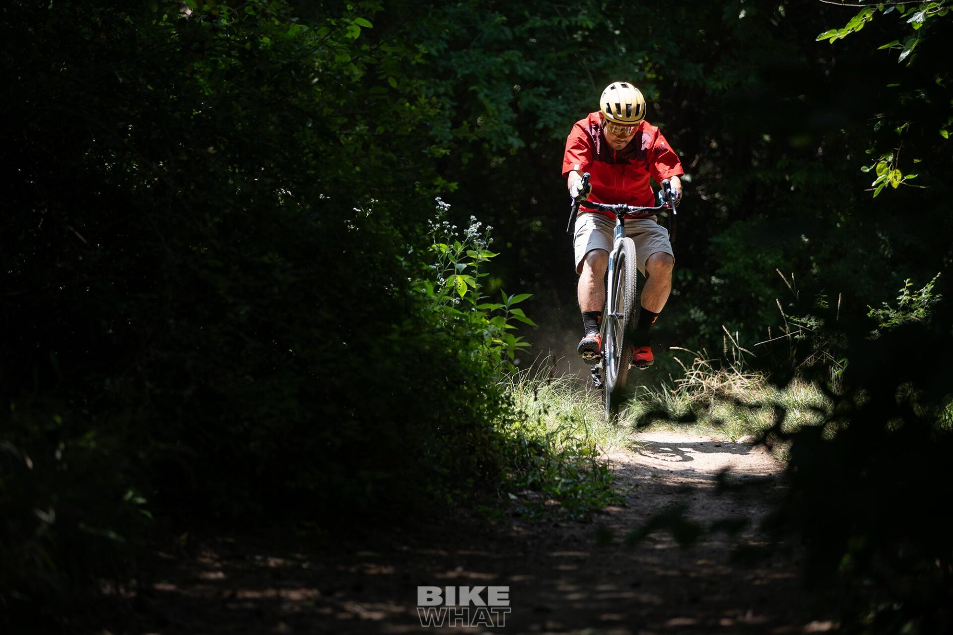 말레 X20 시스템 사용한 e그래블 자전거, 네오와이즈 FX20 - BikeWhat